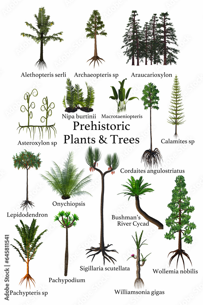 Prehistoric Plants and Trees - A collection of plants, trees, ferns ...