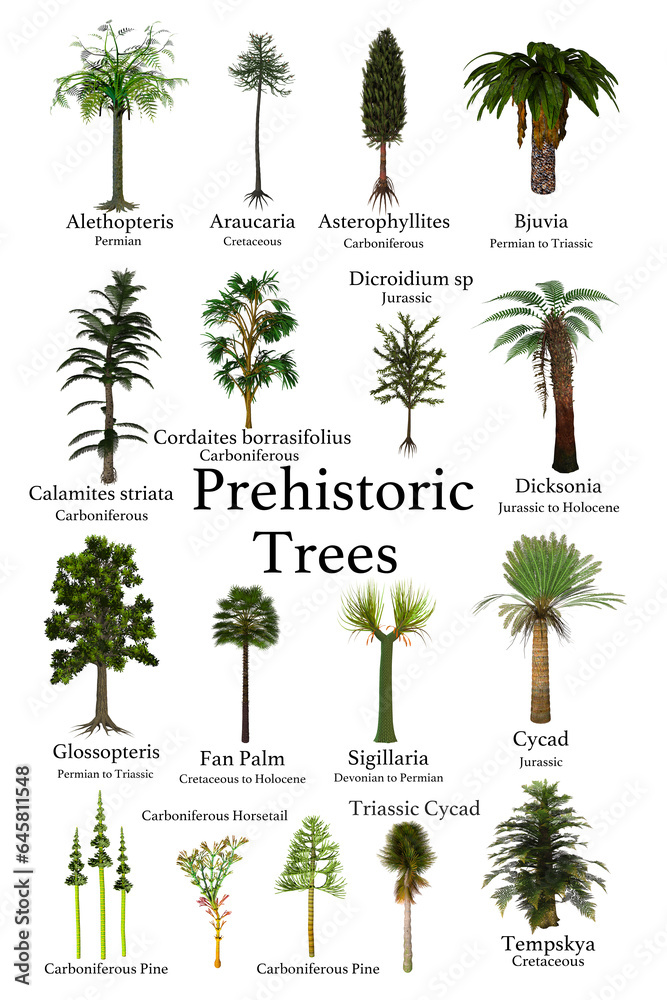 Prehistoric Trees - A collection of trees and cycads that lived during ...