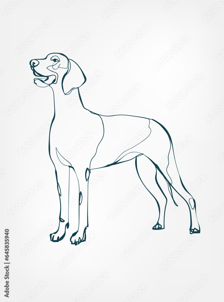 Weimeraner dog breed animal vector line art one line sketch outline ...