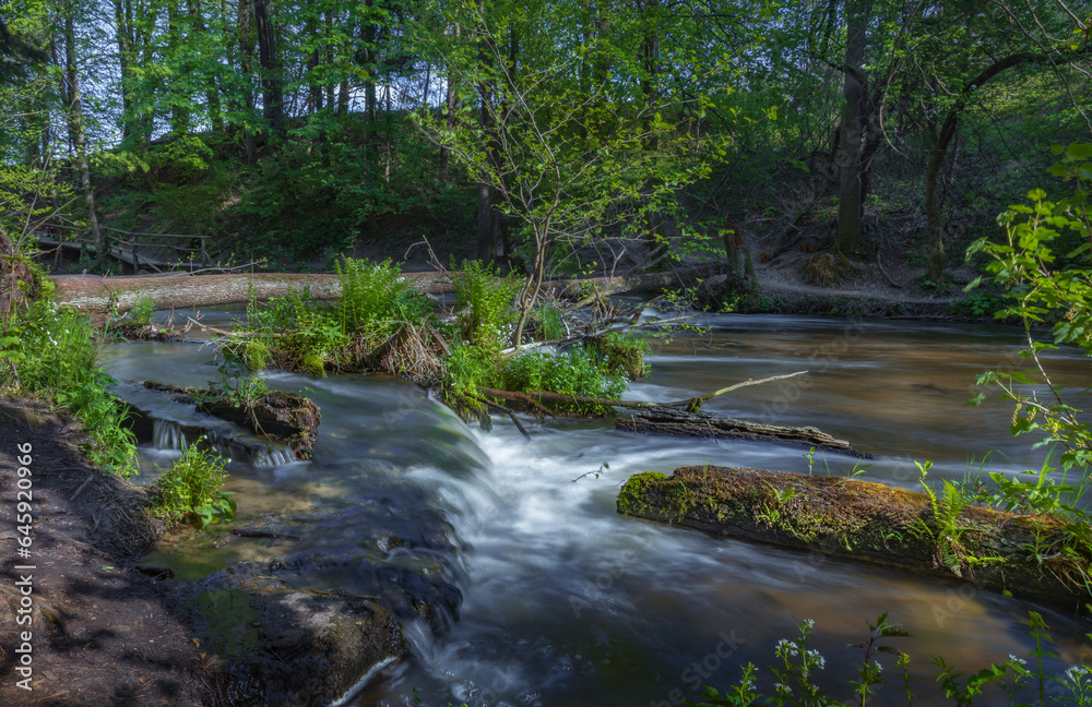 Nad Tanwia Nature Reserve, The gorge of the Tanew River, Sopot River ...