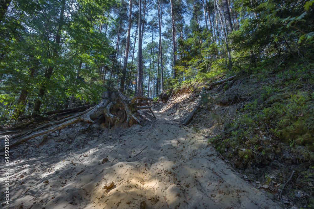 Nad Tanwia Nature Reserve, The gorge of the Tanew River, Sopot River ...
