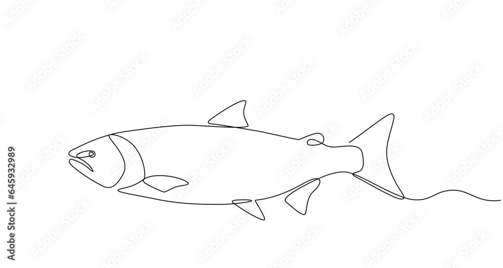 fresh salmon fish in continuous line art drawing style. Single line ...