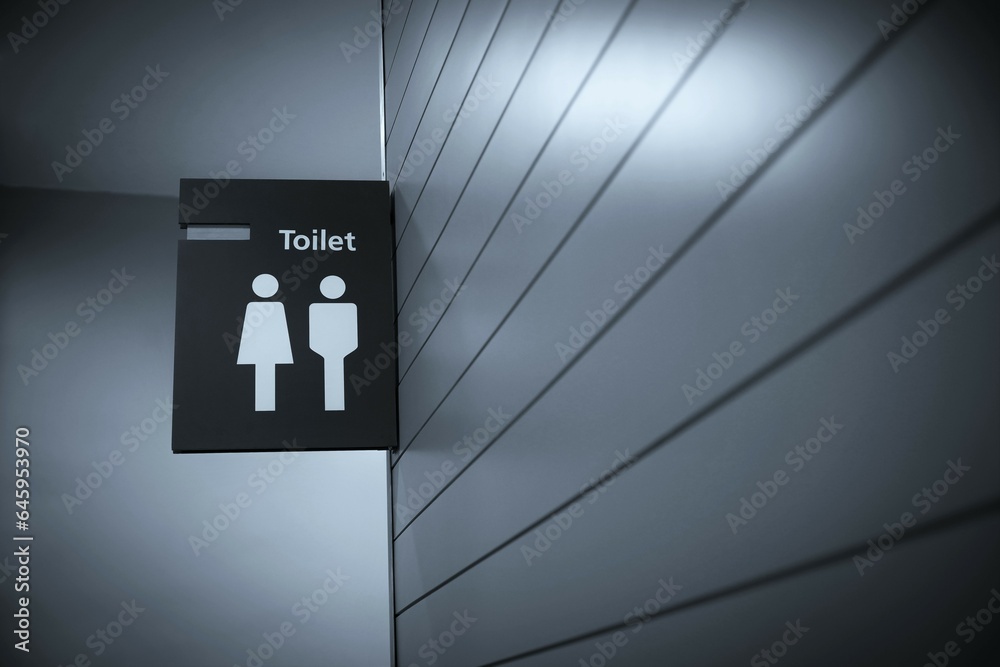 Public Restroom Sign, Toilet Symbol, Femail and Male gender Signage ...