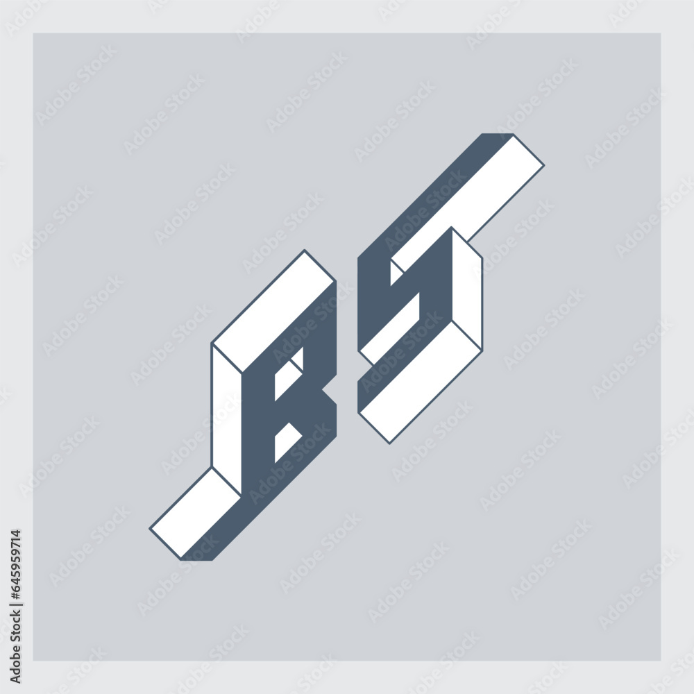Initials or logo for personal brand. B and S - 3d icon or logotype ...