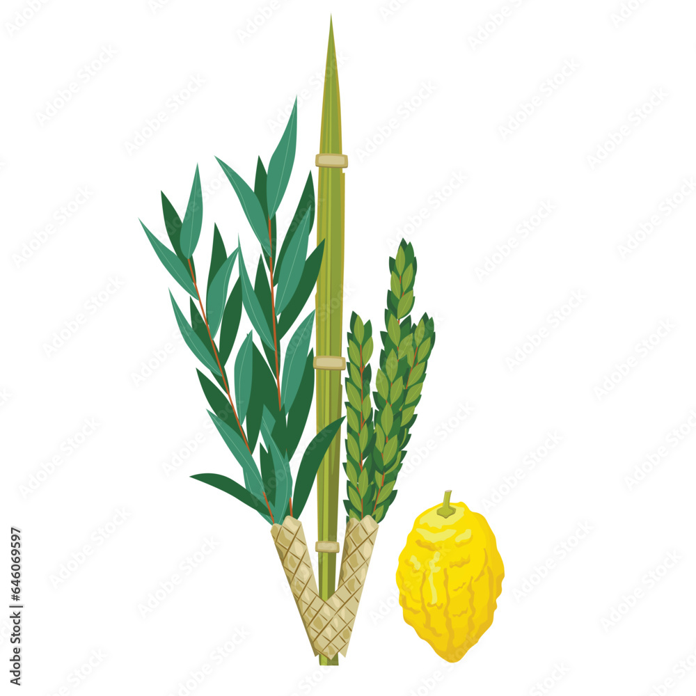 Happy Sukkot traditional symbols. Sukkot set of herbs and spices of the ...
