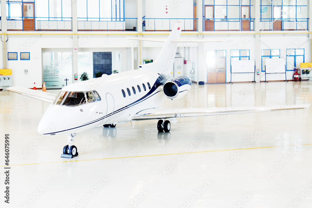 Fix wing aircraft The Gulfstream G450 is powered by twin Rolls-Royce ...