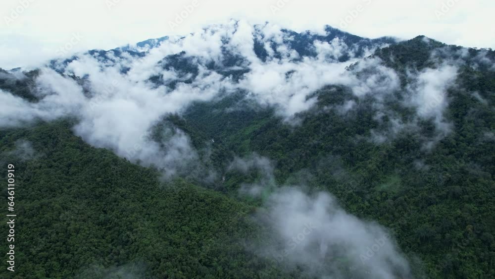 A breathtaking aerial scenery of lush green tropical rainforest ...
