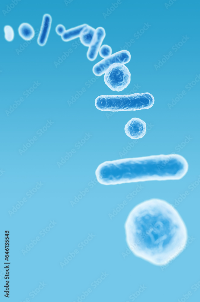 Enterobacteriaceae, gram-negative rod-shaped bacteria, part of ...