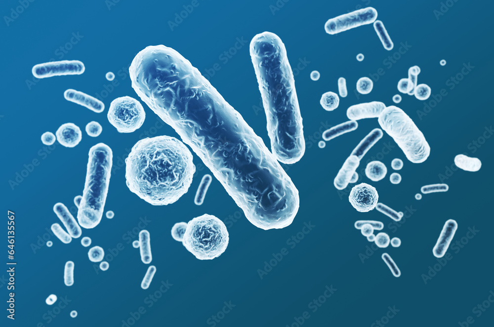 Enterobacteriaceae, gram-negative rod-shaped bacteria, part of ...