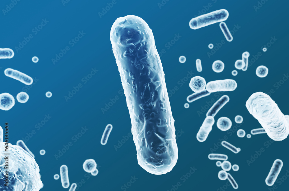 Enterobacteriaceae, gram-negative rod-shaped bacteria, part of ...