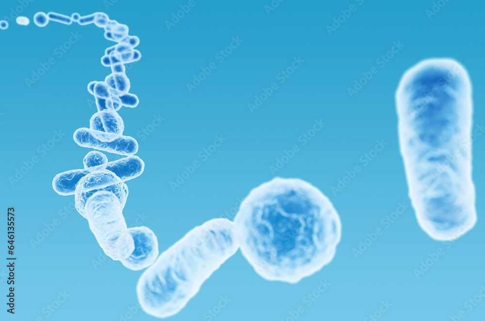 Enterobacteriaceae, gram-negative rod-shaped bacteria, part of ...