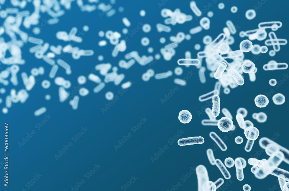Enterobacteriaceae, gram-negative rod-shaped bacteria, part of ...