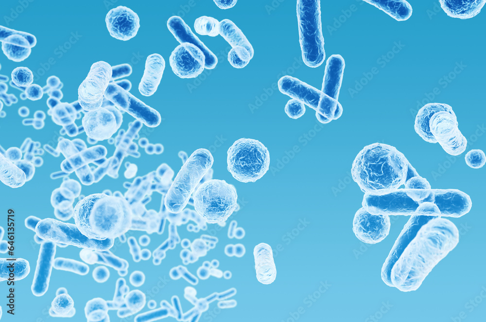 Enterobacteriaceae, gram-negative rod-shaped bacteria, part of ...