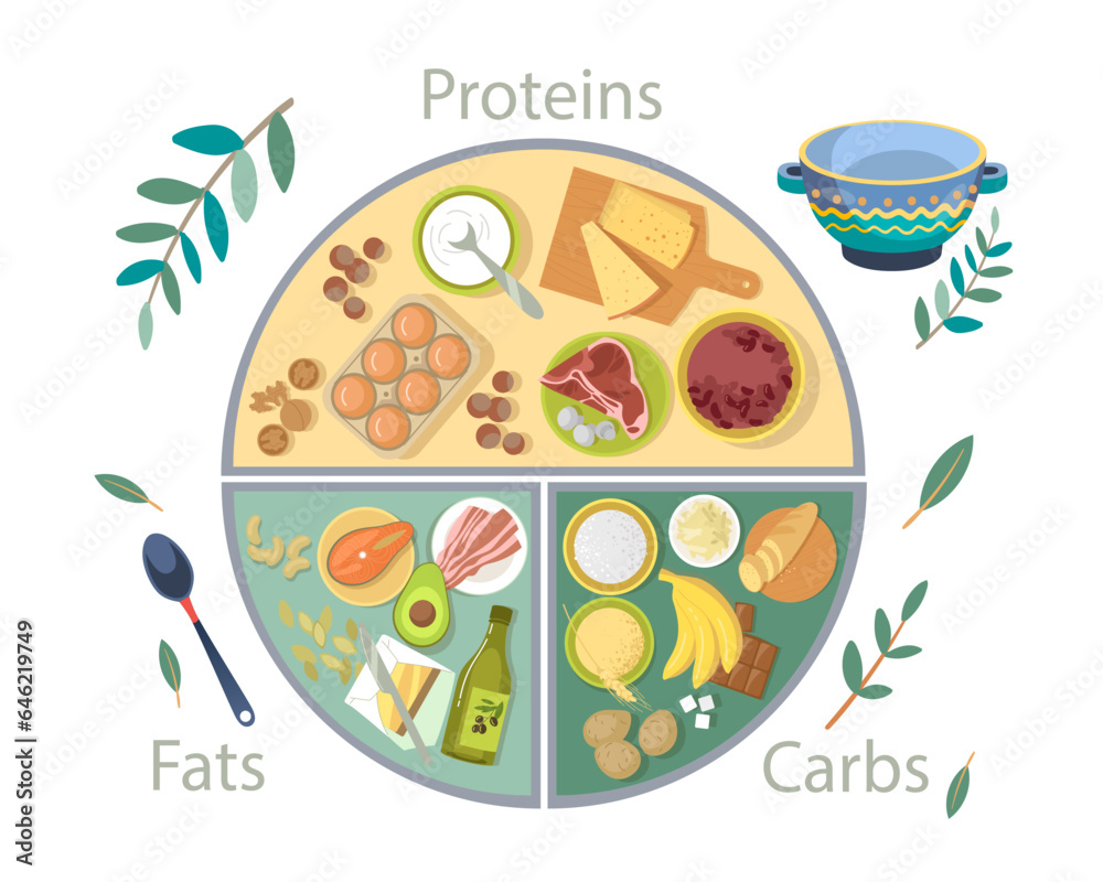 Circle with different food groups vector illustration. Cartoon drawing ...