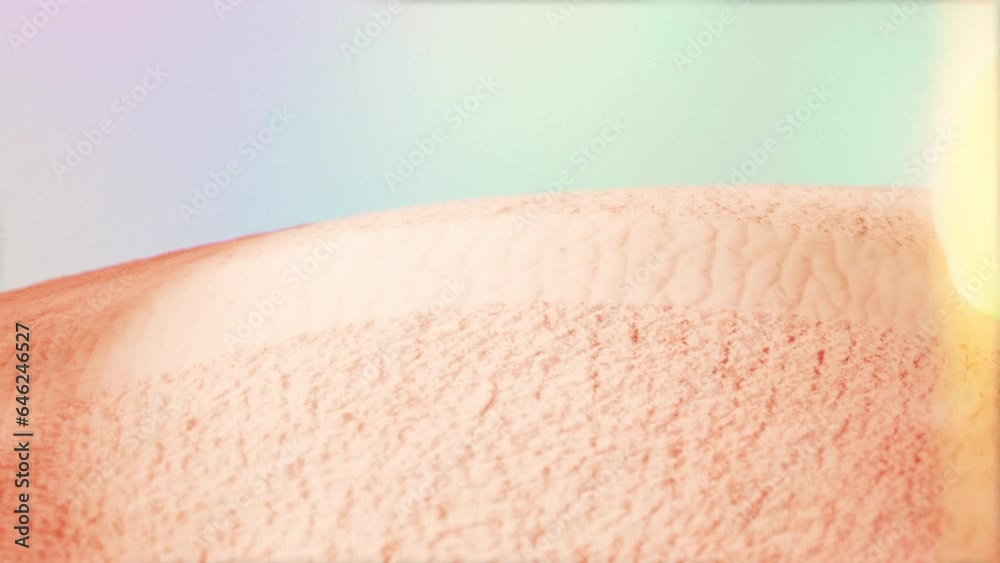 Skin rejuvenation and removal of dry dead skin cells. 3D animation ...