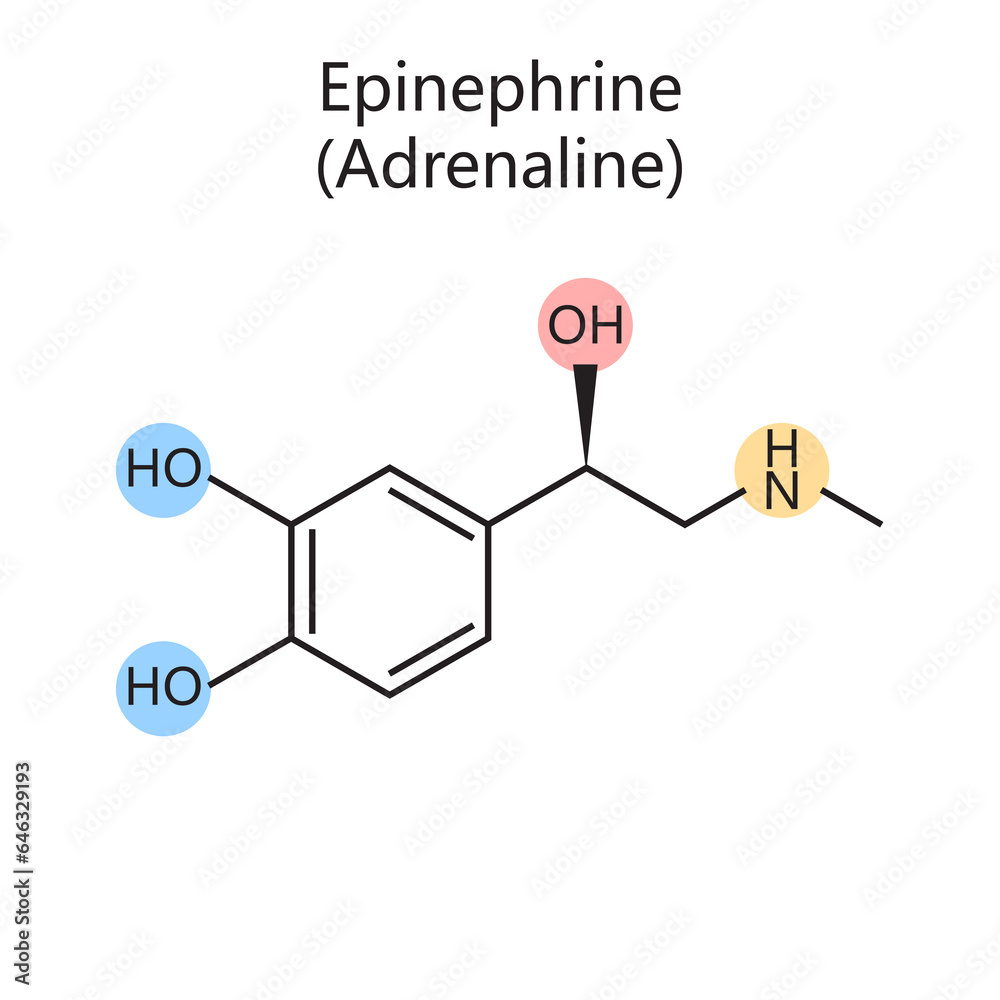 Chemical organic formula of epinephrine adrenaline diagram schematic ...