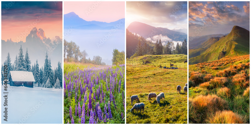 Collage of four seasons landscapes. Set of vertical pictures of nature ...