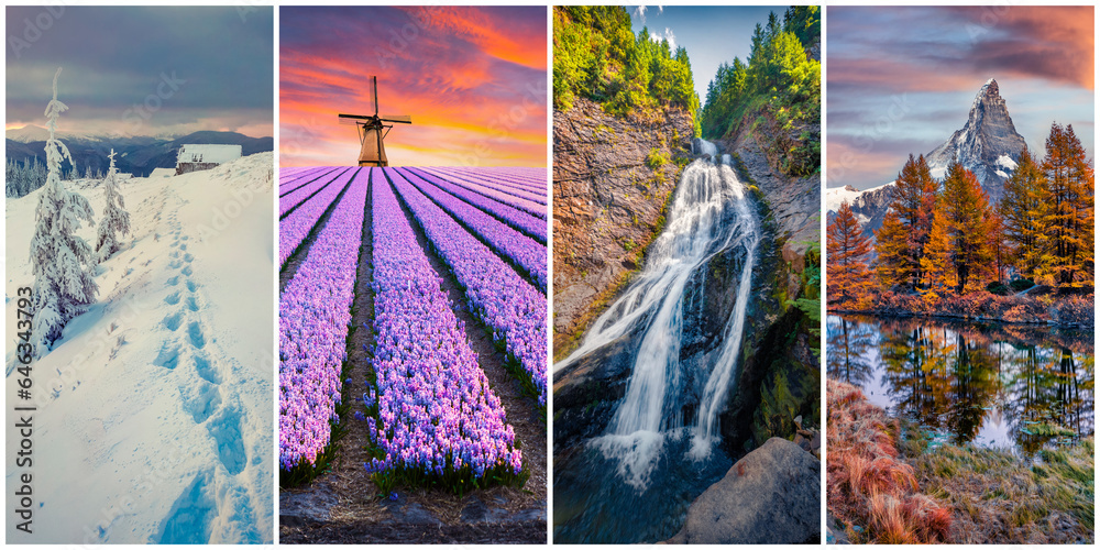 Collage of four seasons landscapes. Set of vertical pictures of nature ...