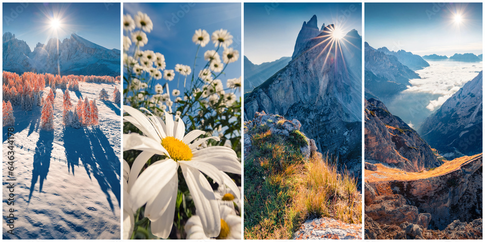 Collage of four seasons landscapes. Set of vertical pictures of nature ...