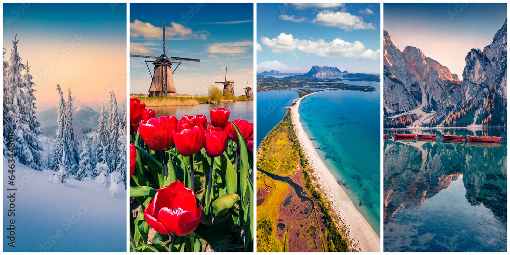 Collage of four seasons landscapes. Set of vertical pictures of nature ...