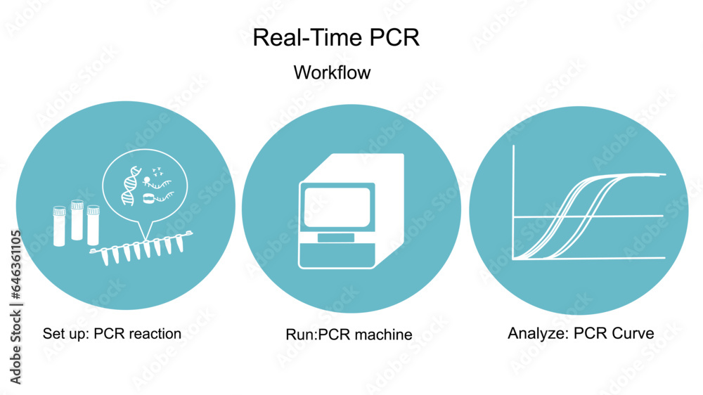 The Workflow Of Real Time Polymerase Chain Reaction Pcr That Shows Important Step In Blue And