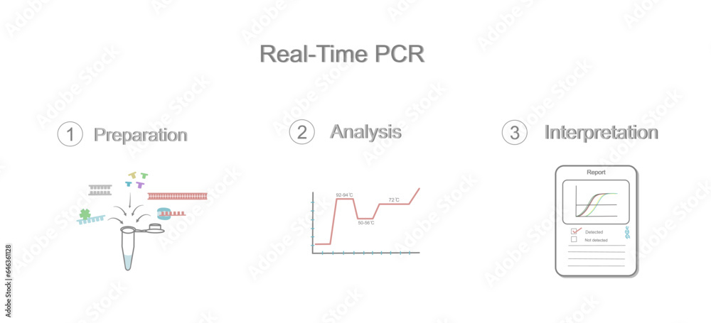 The important steps of real-time Polymerase Chain Reaction (PCR) that ...