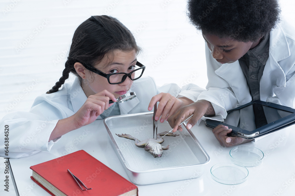 Multiethnic Boys And Girls Study Frog Anatomy And Physiology In A Multiethnic Boys And Girls Study Frog Anatomy And Physiology In A