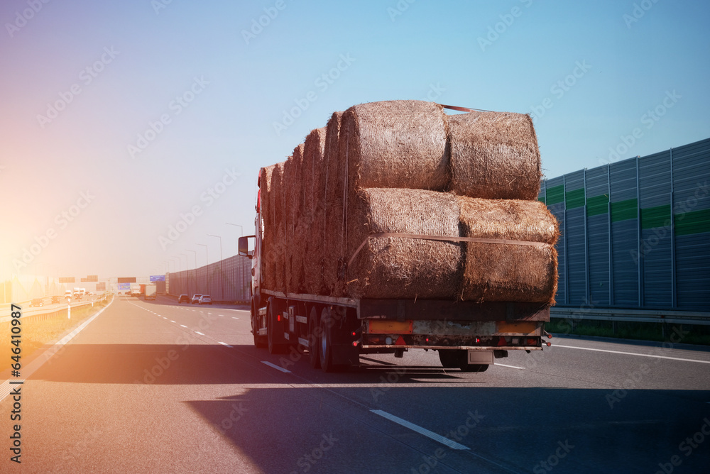 Agricultural machinery. Hay stacks after harvesting grain crops on a ...