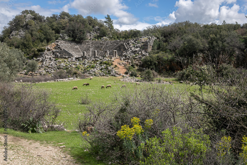 An antique panoramic landscape. A wide juicy green pasture with sheep ...
