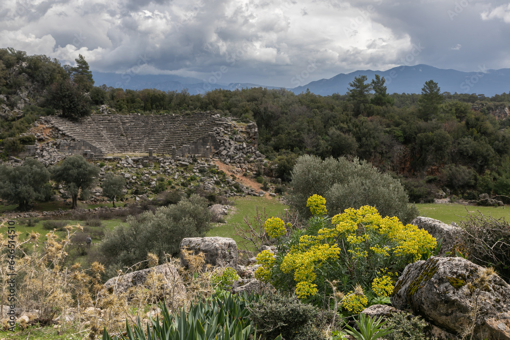 An antique panoramic landscape. A wide juicy green pasture with sheep ...