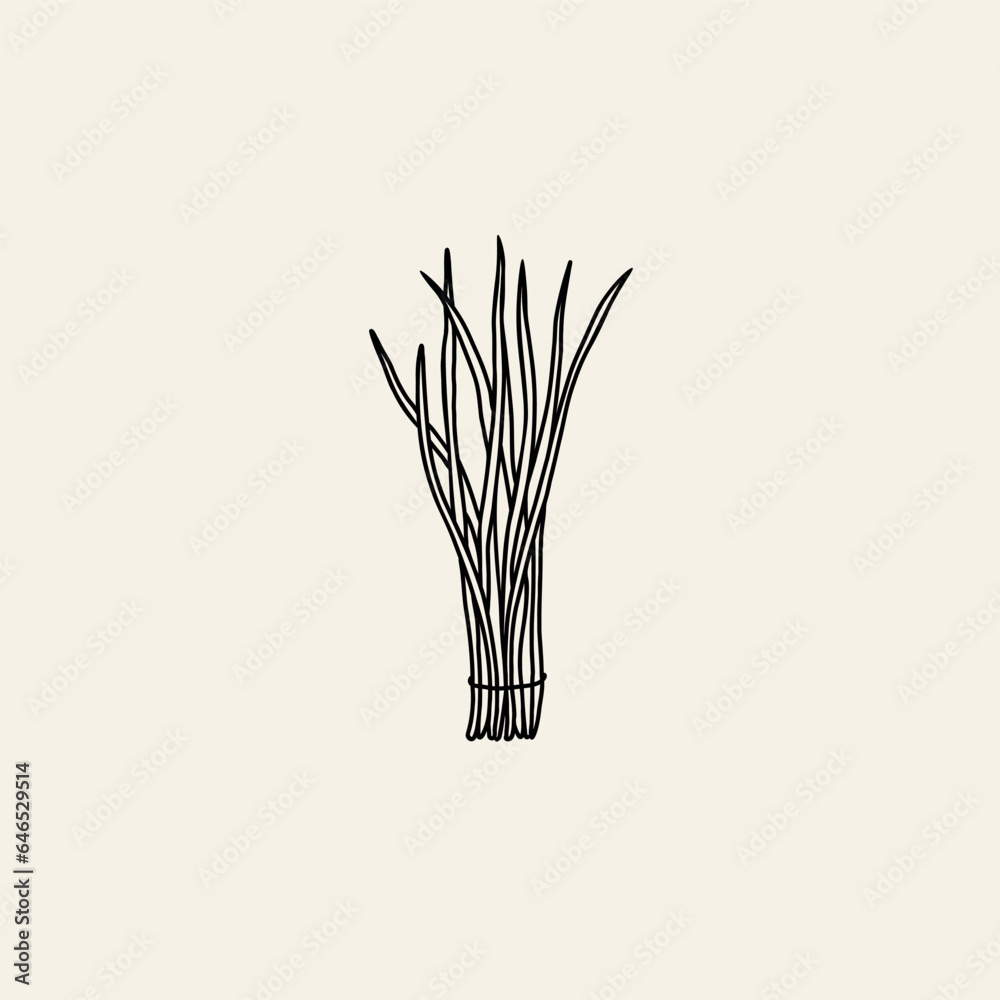 Hand drawn chives branch illustration Stock Vector | Adobe Stock