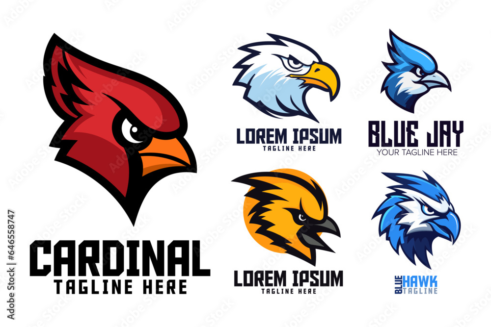 Sport and esport bird head logo collection. Blue bird, yellow bird, red bird, hawk, falcon ...