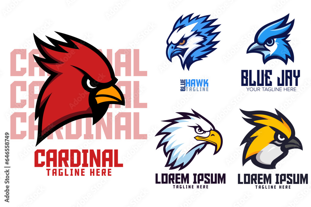 Blue jay, cardinal, hawk and other bird head logos for sport and esport ...