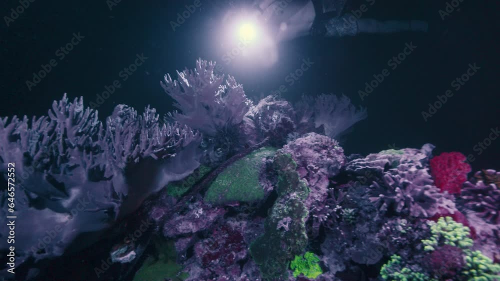Night freediving and UV light corals shining. Man freediver swims ...