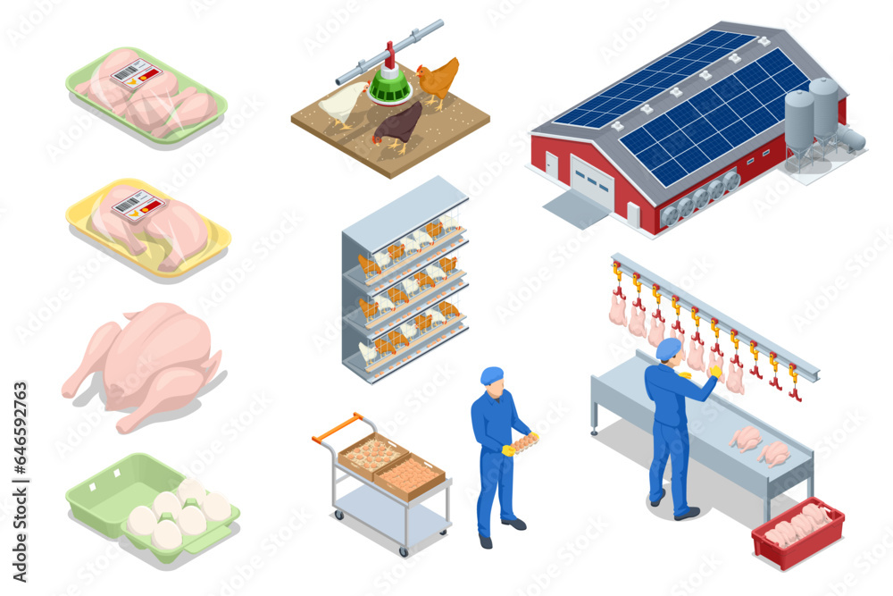 Isometric set icons of Poultry Farming concept. Poultry farm building ...