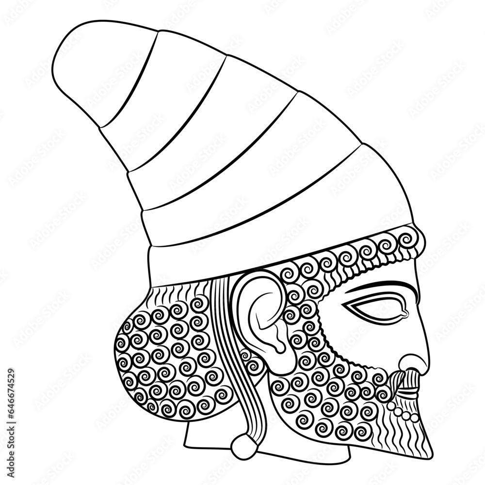 Head in profile of ancient Persian man from Persepolis. Male portrait ...
