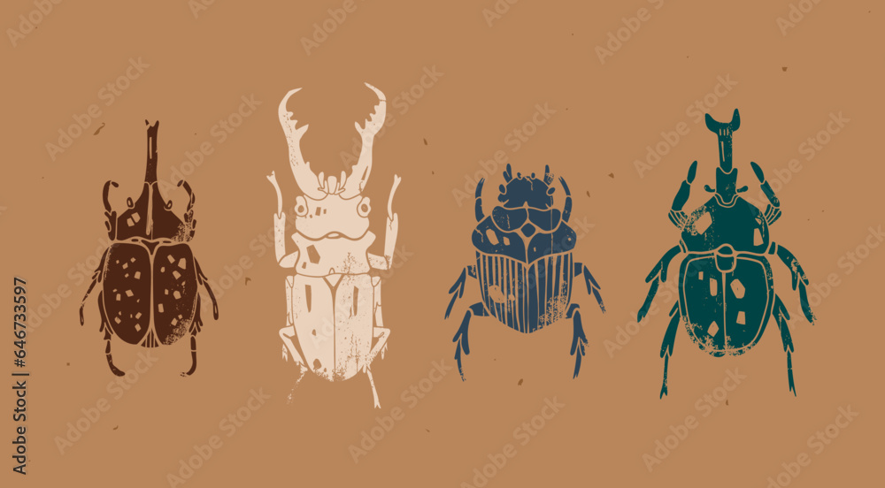 Set of various beetles, bugs or insects. Hand drawn modern Vector ...