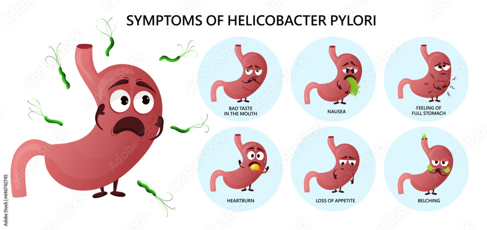 Helicobacter pylori infection symptoms infographic with cartoon stomach ...