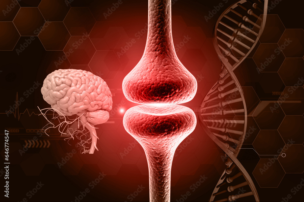 Human brain anatomy with Neurons, brain cells, neural network Synaptic ...