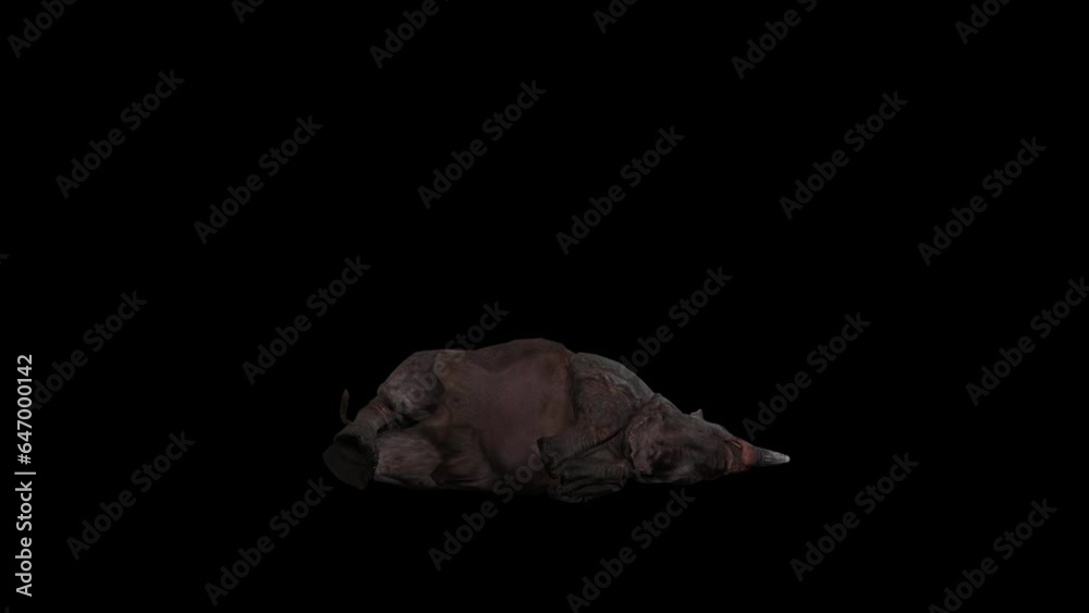 Vídeo do Stock: 3D Large Rhino animal is dying side view on a black ...