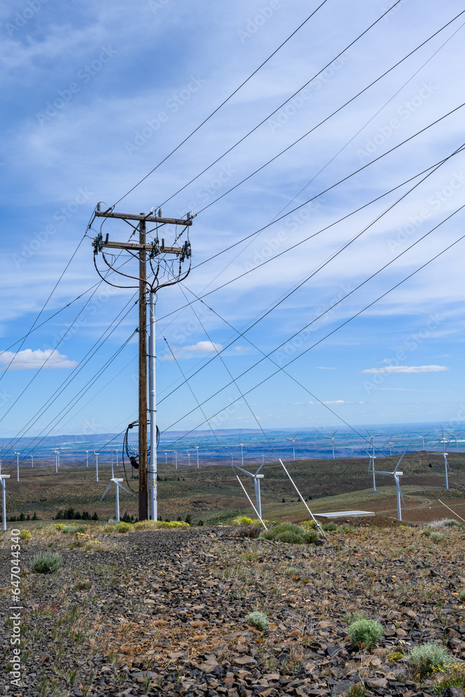 Power distribution lines on an industrial wind farm with wind turbines ...