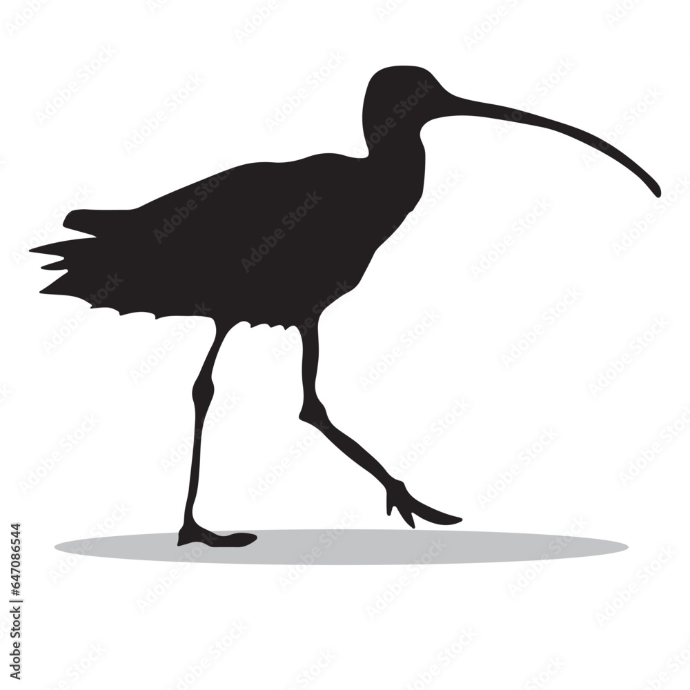 Curlew Silhouette, cute Curlew Vector Silhouette, Cute Curlew cartoon ...
