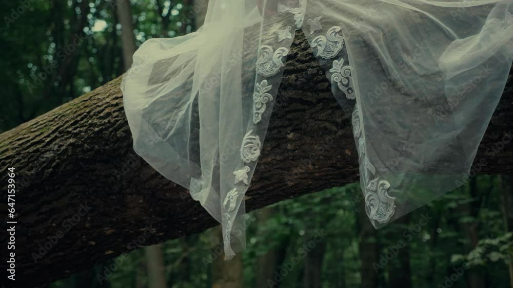 Attractive Dryad Or Forest Fairy lies on a tree. Charming girl in a ...