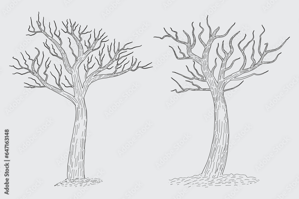 Hand drawn winter Bare Tree Sketch vector, bare Trees Leafless dead old ...