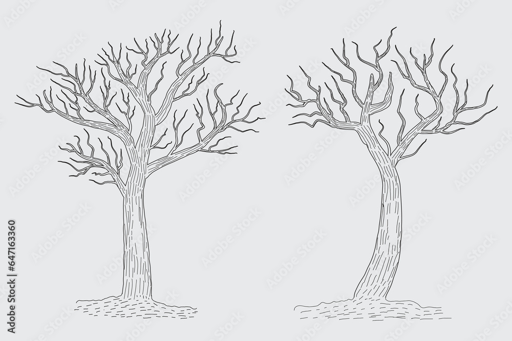 Hand drawn winter Bare Tree Sketch vector, bare Trees Leafless dead old ...