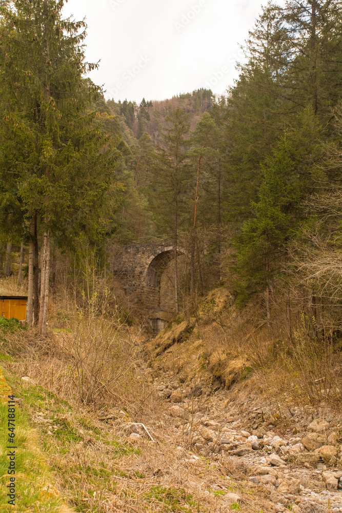 The forested landscape just north of Ovaro village in the Carnia region ...