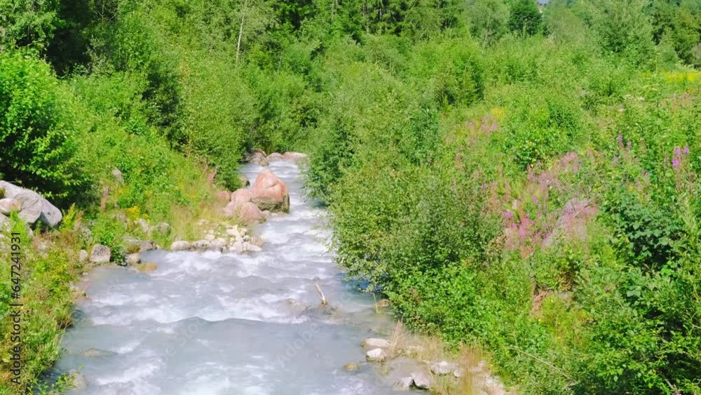 mountain river flow down into gorge, energy flow among green plants ...