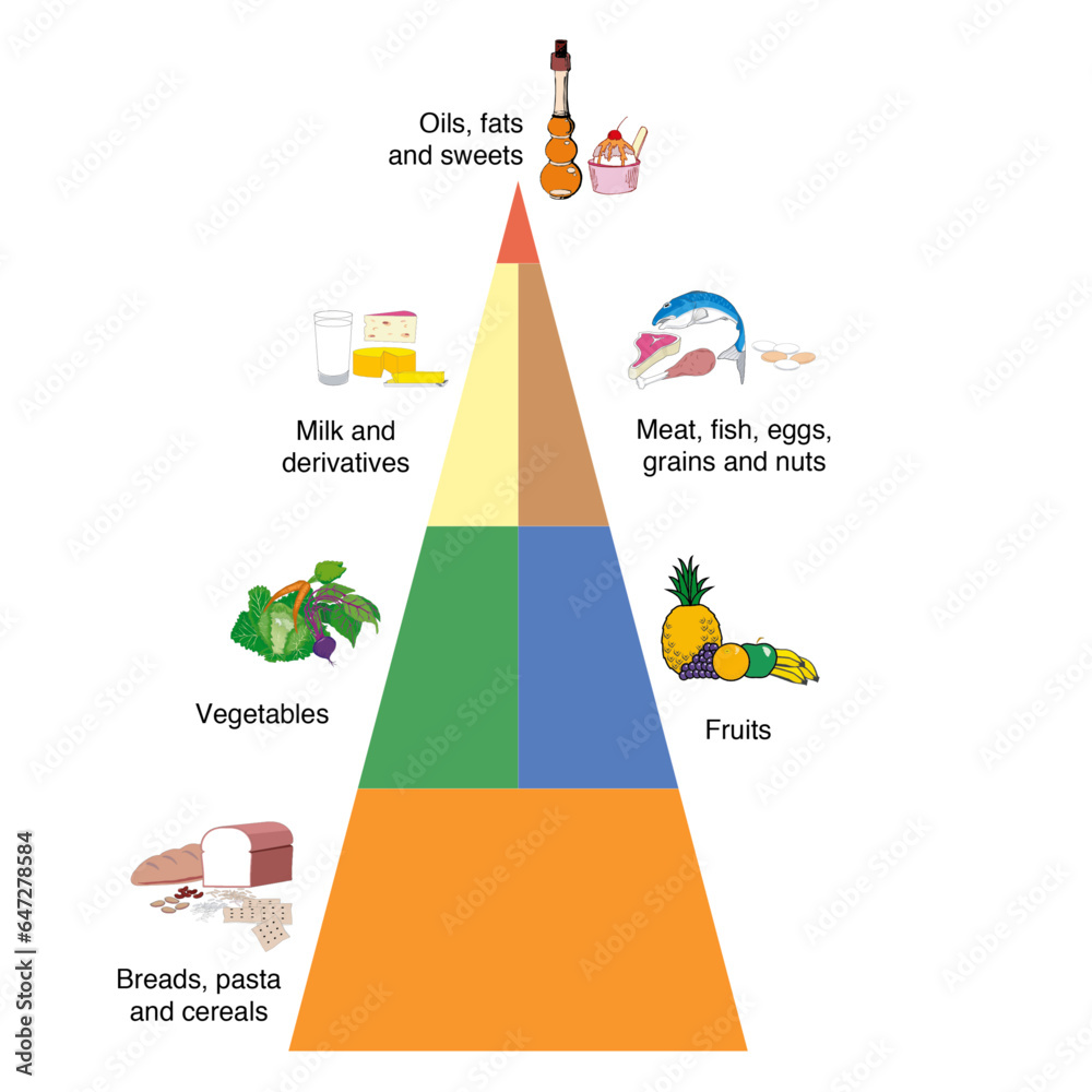 healthy eating pyramid healthy food balanced diet illustration vector ...