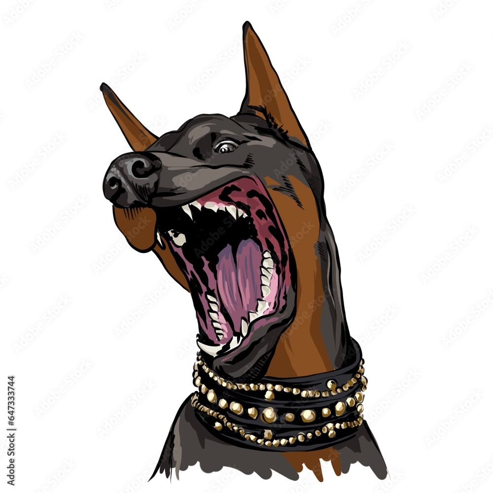 Angry Doberman Dog with open mouth. simple colour illustration, beware ...