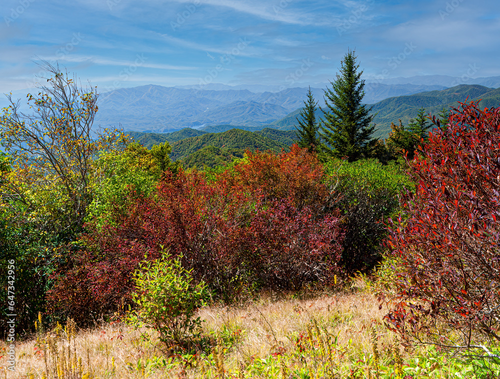 Andrews Bald in the Great Smoky Mountains National Park Stock Photo ...